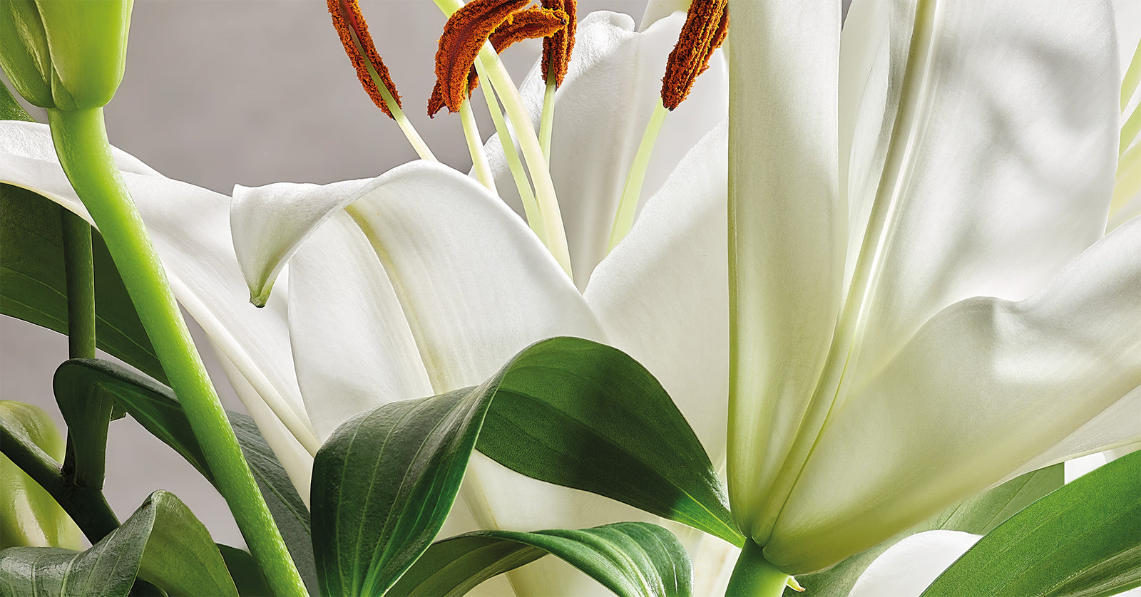 Fine Jewellery | Designed & Handcrafted in London | Cassandra Goad
